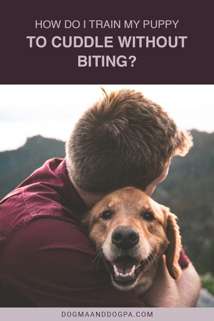 How Do I Train My Puppy To Cuddle Without Biting? - Dogma & Dogpa
