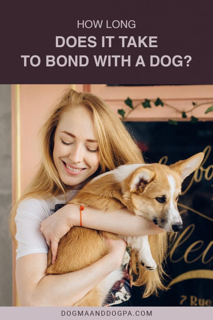 How Long Does It Take To Bond With A Dog? - Dogma & Dogpa